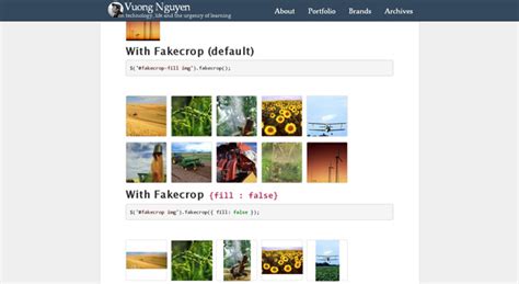 JQuery Image Crop And Resize Plugins Learning JQuery