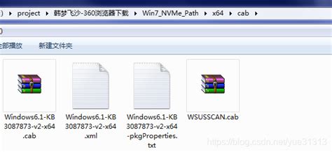 安装程序遇到错误 0x80240037 尝试打开时出错 wsusscan cab 错误 0x80070002。wsusscan cab