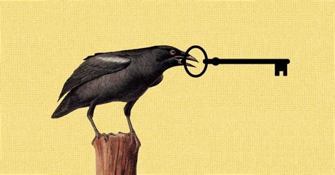 André Costa E Silva On Linkedin O Efeito Sci Hub