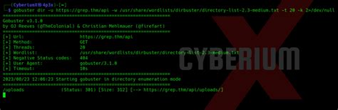 Tryhackme Grep Osint Writeup Cyberiumx