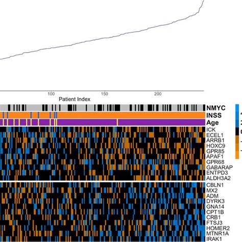 Expression Heat Map Of Genes Included In The 21 Gene Prognostic