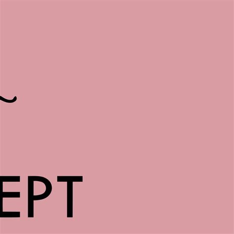 Ella Concept 🧿 Ellaconcept • Instagram Photos And Videos