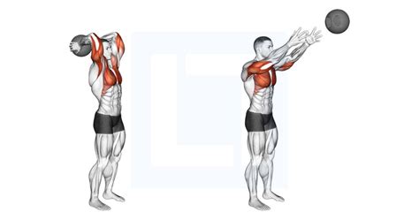 Triceps Press Guide Benefits And Form