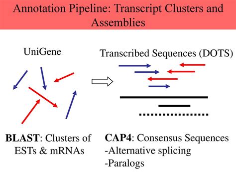 Information Management Infrastructure For The Systematic Annotation Of