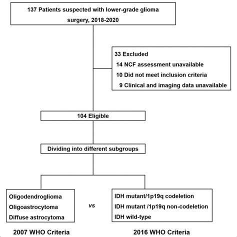 Flow Diagram For Neurocognitive Function Assessment Cohort All Download Scientific Diagram