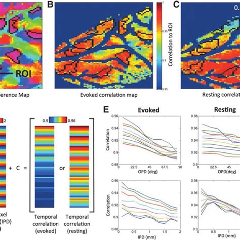Temporal Correlation Analysis A A Sample Orientation Preference Map