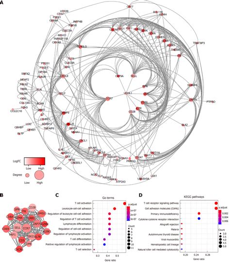 Protein Protein Interaction Network And Module Analysis Of