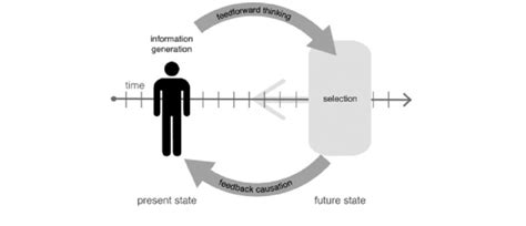 Feedback And Feed Forward Download Scientific Diagram