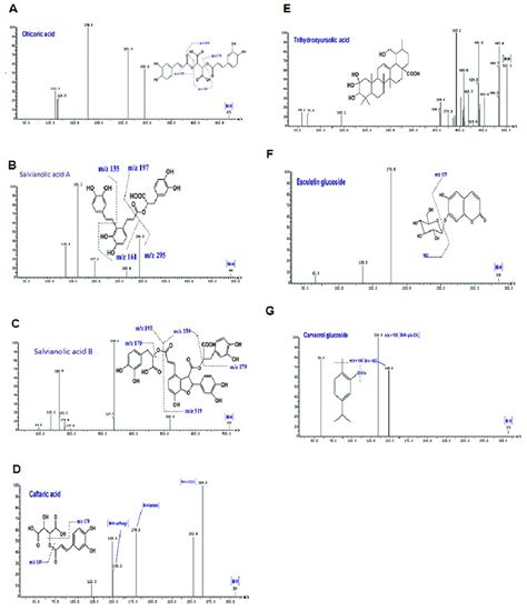 Ultra Performance Liquid Chromatography Tandem Mass Spectrometeric Download Scientific Diagram