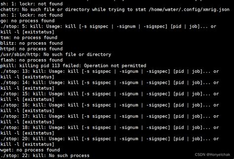 查杀linux服务器病毒进程并对linux中的文件描述符fd进行简单探索 blitz64 csdn博客