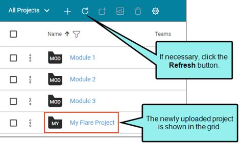 Binding A Project To Madcap Flare Online