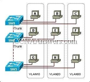 CCNA Chapter V Answers