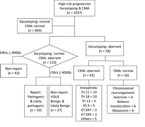 Figure 1 From Prenatal Diagnosis Using Chromosomal Microarray Analysis In High Risk Pregnancies