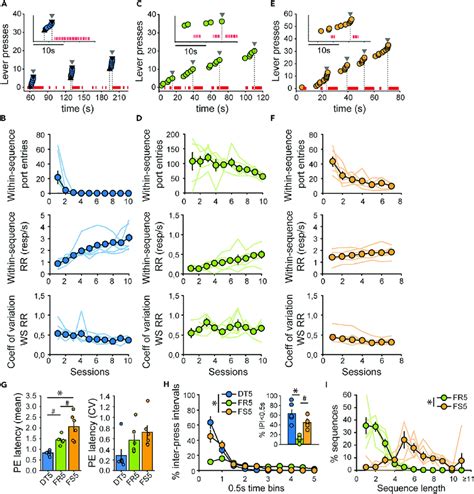 task differences in performance a microstructure of instrumental