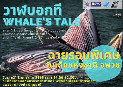 วันเด็กปีน พิพิธภัณฑ์ธรรมชาติวิทยา Natural History Museum