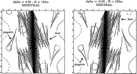 Field Lines Computed For The Same Parameters Than Fig 5 They Are Download Scientific Diagram