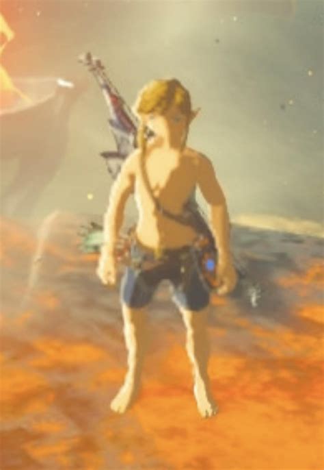 i m here to save the princess r botw