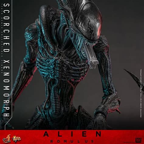 익스트림무비 핫토이 ‘에일리언 로물루스‘ 1 6 스케일 스코피드 제노모프 피규어
