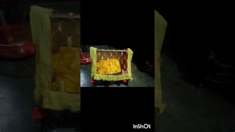 5100 Days Mini Vlogs 🥰🥰😌 Challenge Vlog Vlogs Minivlog Vlogger