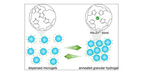 Ph Responsive Reversible Granular Hydrogels Based On Metal Binding Mussel Inspired Peptides