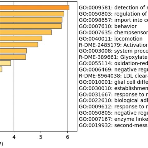 Cluster Enrichment Analysis For The Common Set Of Genes Amongst Ad And