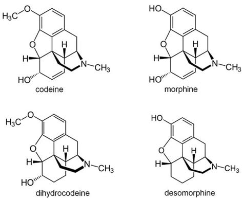 Pharmacological Aspects Of Over The Counter Opioid Drugs Misuse