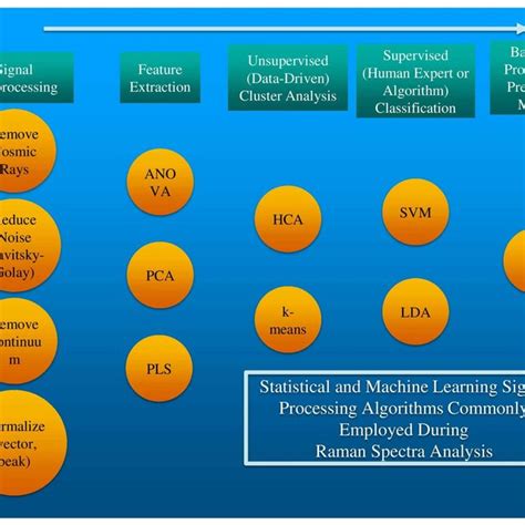 The Data Processing Steps Required For Robust Raman Spectral Analysis