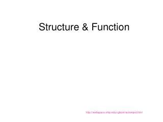 PPT Hemoglobin Synthesis Structure Function PowerPoint Presentation ID