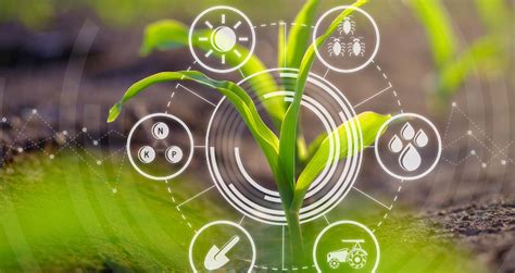 Blog Ai Enabled Precision Agriculture Revolutionizing Farming Practices For Sustainable Food