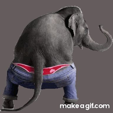 Elephant On Make A GIF