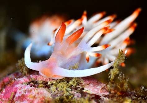 아름다운 바닷속 세상 Band Page