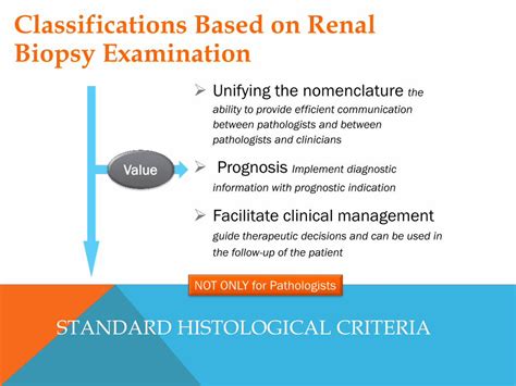 Pdf Classification Of Glomerular Disease Dokumentips