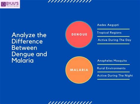 Differences Between Dengue And Malaria Disease With Their Detailed Comparisons