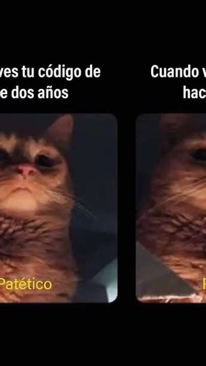 Programacion Linux Digitalocean Youtube