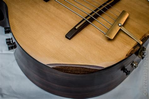 Bass Of The Week Emiliano Bernal Acousticelectric Custom 6 String