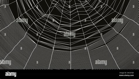 Cobweb Or Spider Web Network Background Connection Structure 3d