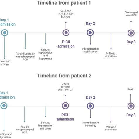 Patients Clinical Event Timeline Graphical Representation Download Scientific Diagram
