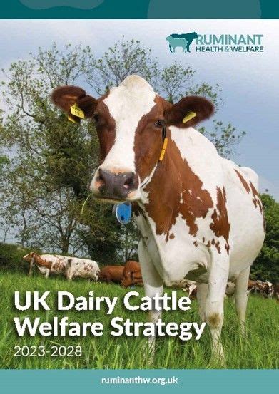 Clare Fleming Posted On Linkedin