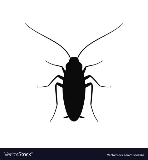 Cockroach Royalty Free Vector Image Vectorstock