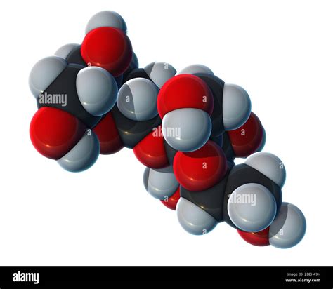 Disaccharide Molecule Structure
