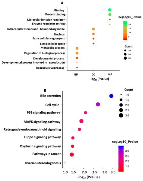 Genome Wide Runs Of Homozygosity Effective Population Size And