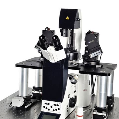 Patch Clamp Technique Microscope At Katherine Somers Blog