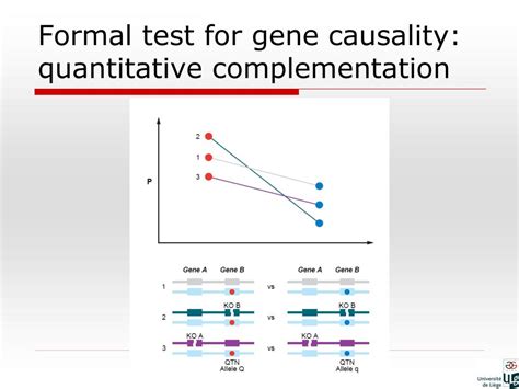 Ppt Qtn Modulating The Transcription Rate Of A Chromosome Domain Encompassing Plag1 Control