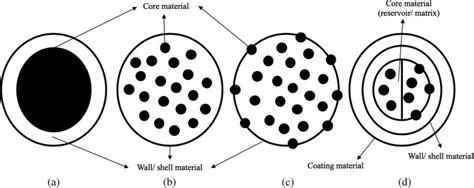 Different Types Of Microcapsules A Mononuclearreservoir Type B