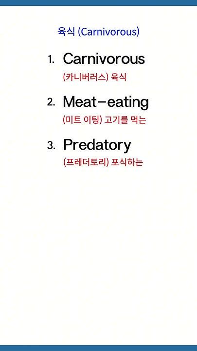 영단어영어 영단어외우기 영어듣기 Youtube