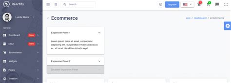 Expansion Panel Reactify