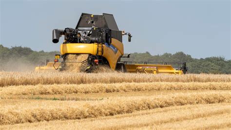 Farmers Use Ai To Identify Pests Protect Crops Fox News