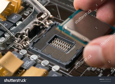 Technician Plug Cpu Microprocessor Motherboard Socket Stock Photo Shutterstock