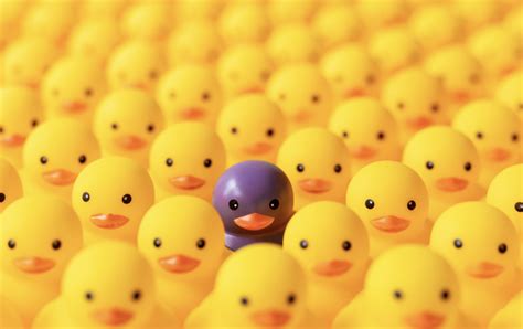 Human Resource Information Management Systems Explained