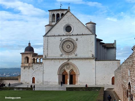 Are You Ready to Livit? Appreciating Others - Livology